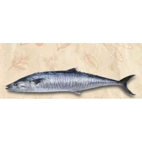 King fish market store